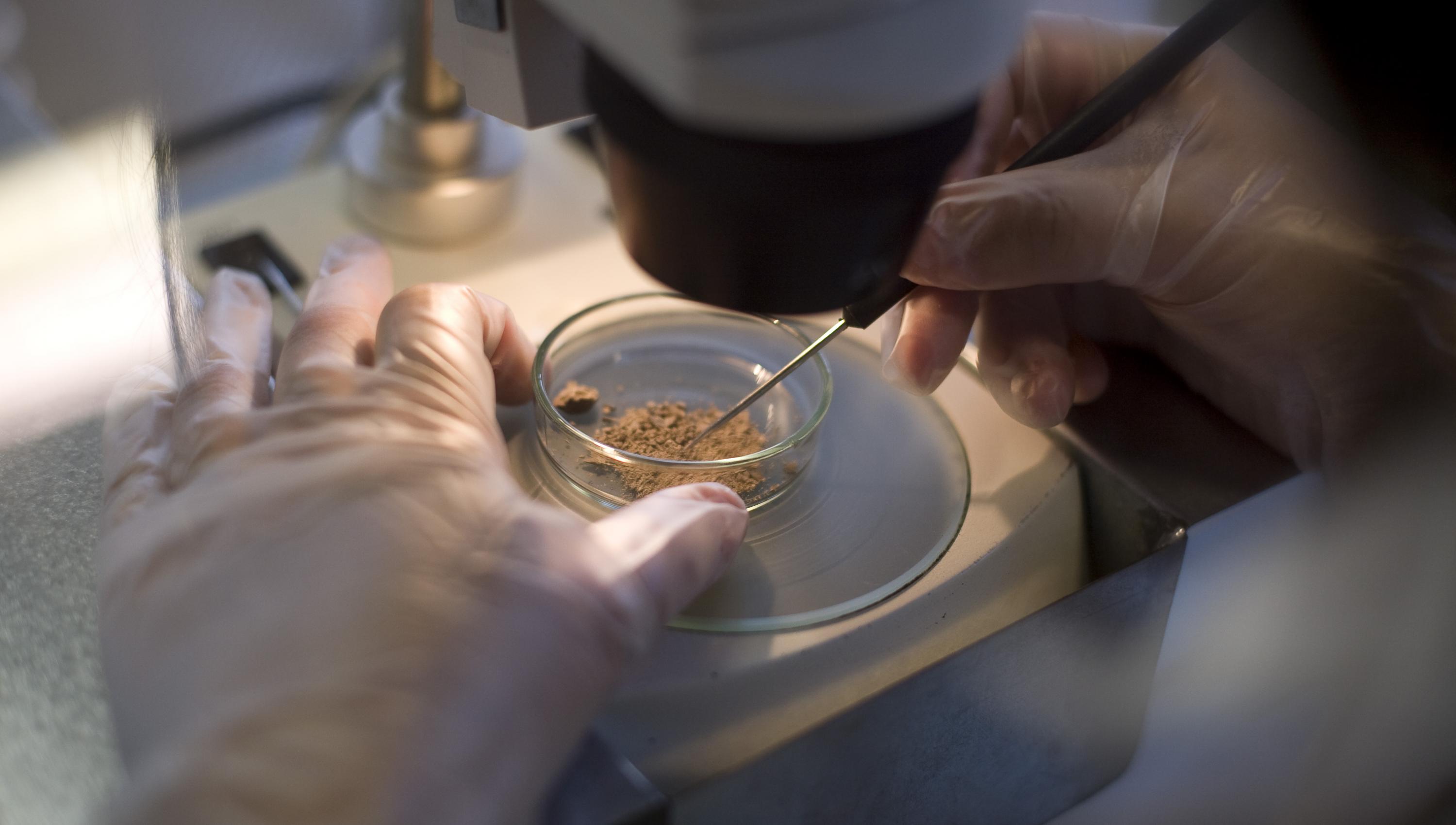 SGS LabTox - When you need to be sure.